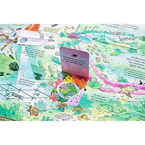 An Usborne Flap Book: See Under the Sea – Pupilio