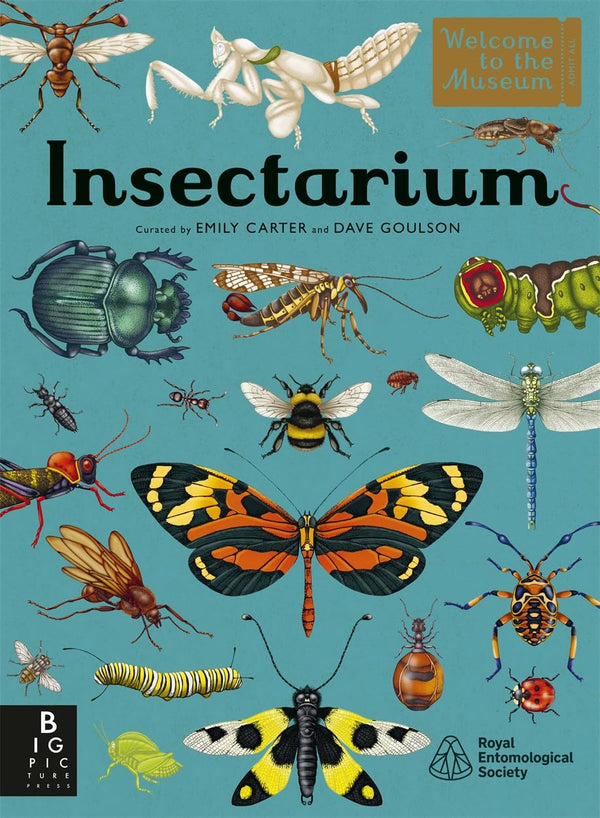 Welcome to the Museum: Insectarium – Pupilio