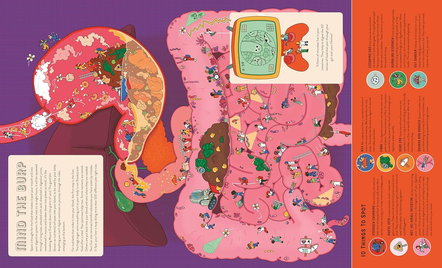 Up Close and Incredible: Human Body: An Interactive Adventure with a 3 ...
