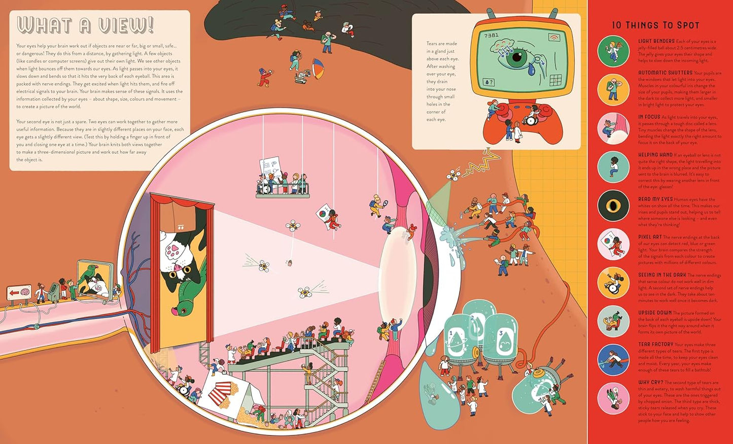 Up Close and Incredible: Human Body: An Interactive Adventure with a 3 ...