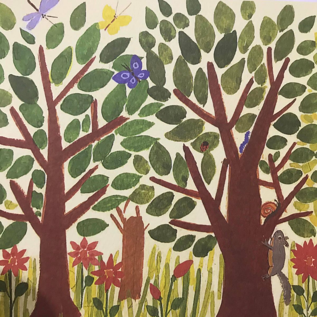 The Tree Book – Pupilio