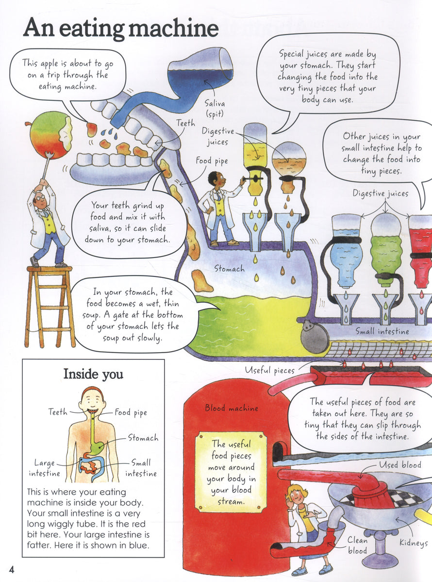 Usborne How Your Body Works – Pupilio